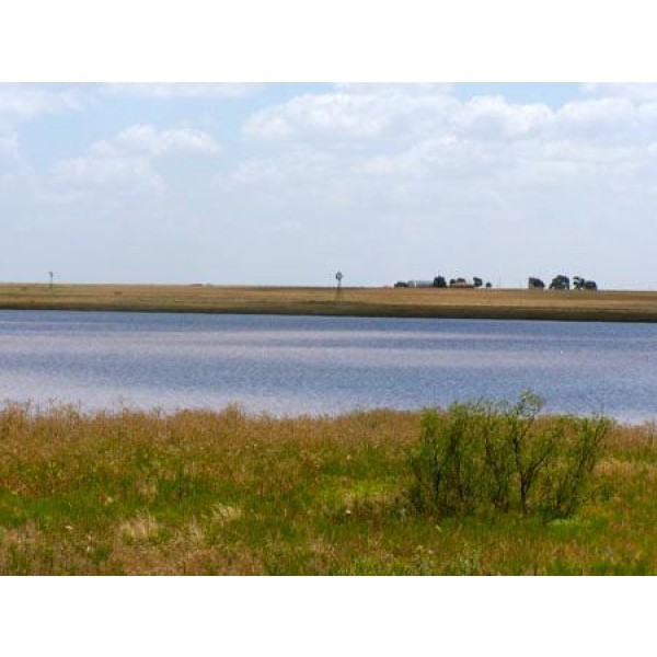 grass-land-claude-texas-6